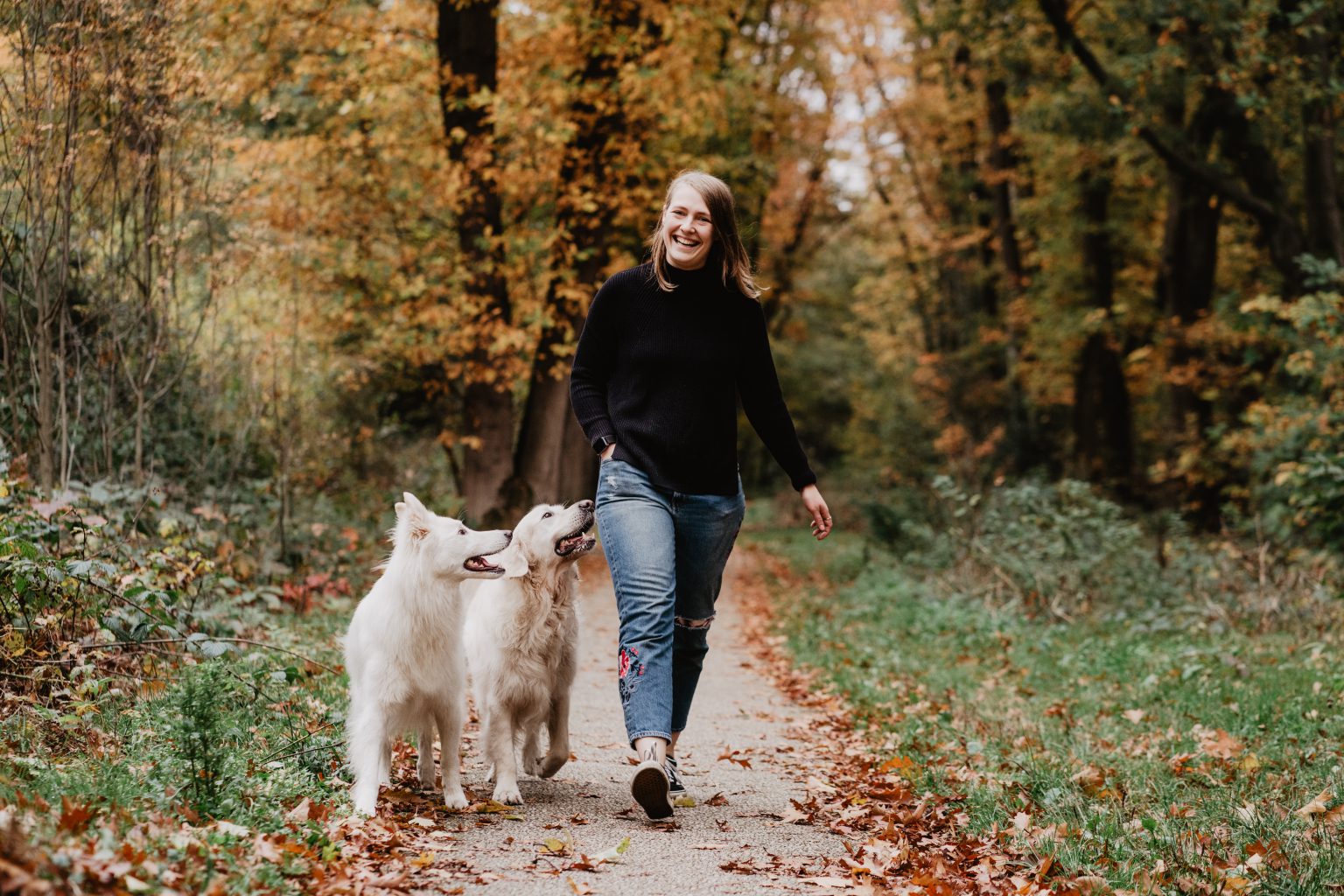 Mijn hond loopt weg - Hondengedragscoach